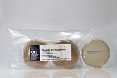 Categorias Microbiologia - Página 4 de 27 - Interlab