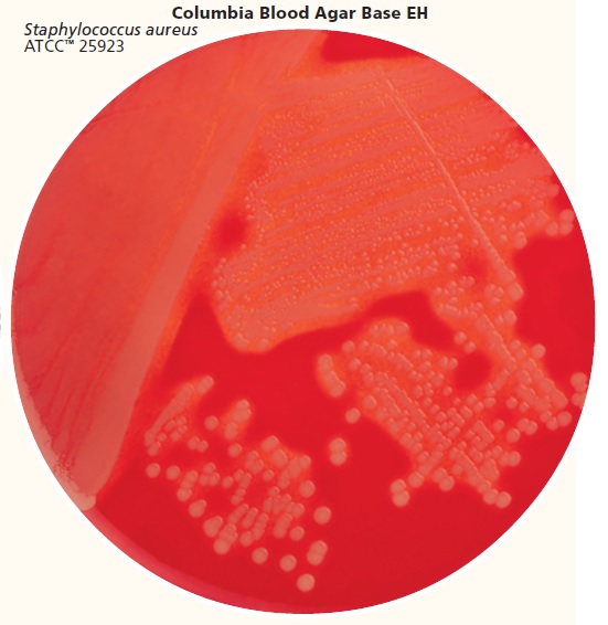 Columbia Blood Agar Base EH - Interlab