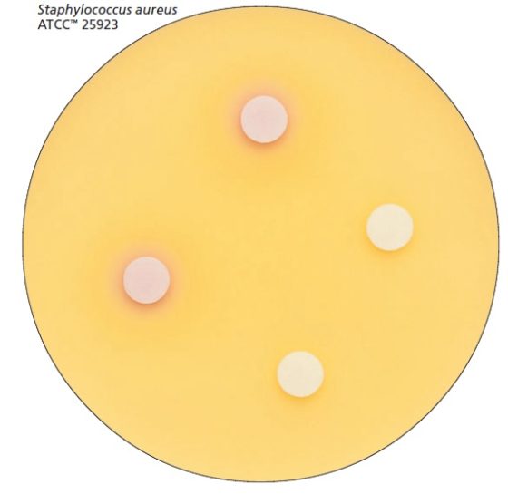 D/E (Dey/Engley) Neutralizing Agar - Interlab
