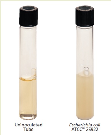 EC Medium - Interlab