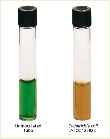 EE Broth Mossel Enrichment - Interlab