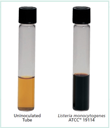 Fraser Broth Base - Interlab
