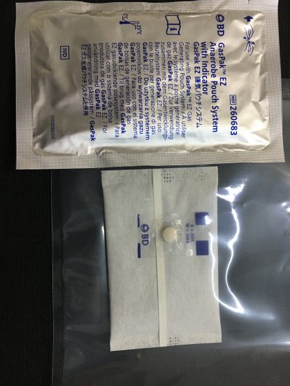 Gaspak EZ - Bolsas Plásticas para Anaerobiose com Indicador - Interlab