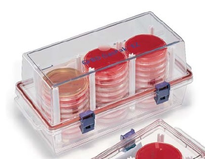 Gaspak EZ Jarra Retangular - 30 Placas - Interlab