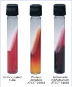 Lysine Iron Agar - LIA (Agar Lisina Ferro) - Interlab