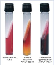 Aplicações meios de cultura microbiológica - Interlab