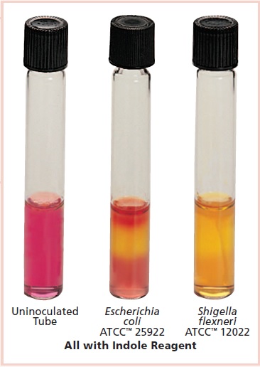 MIL Medium - Interlab