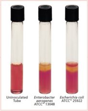 Marcas Difco - Página 6 de 12 - Interlab