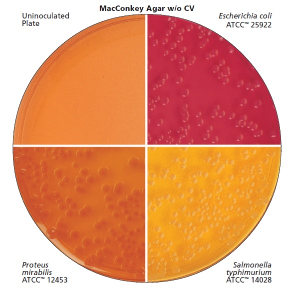 Mac Conkey Agar w/o Cristal Violeta - Interlab