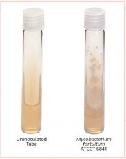 Categorias Microbiologia - Página 15 de 27 - Interlab