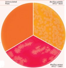 Marcas Difco - Página 6 de 12 - Interlab
