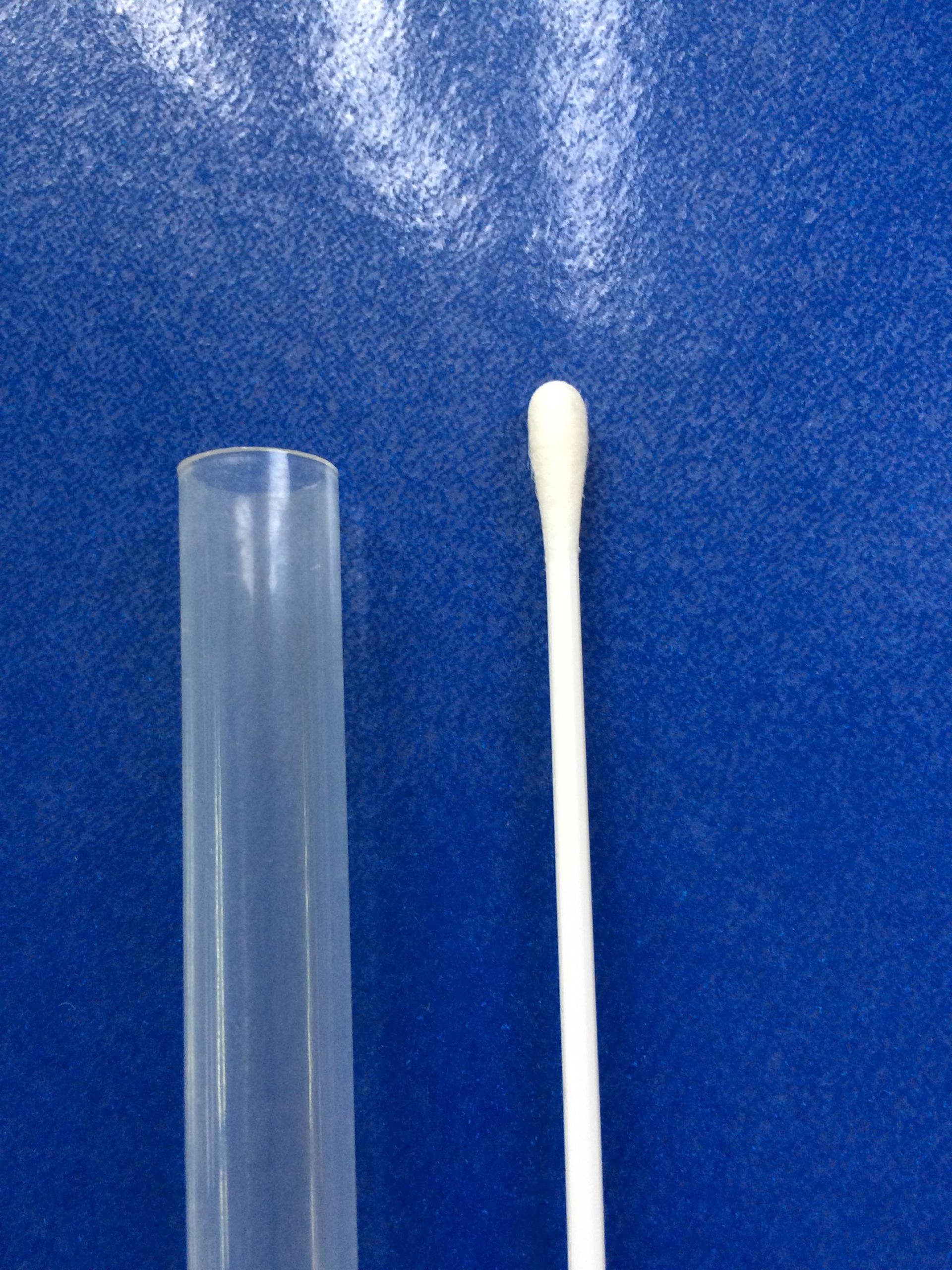 Rayswab - Swab com Ponta de Rayon, Estéril, Haste Plástica Flexível ...