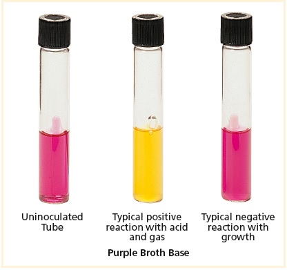 Purple Broth Base - Interlab