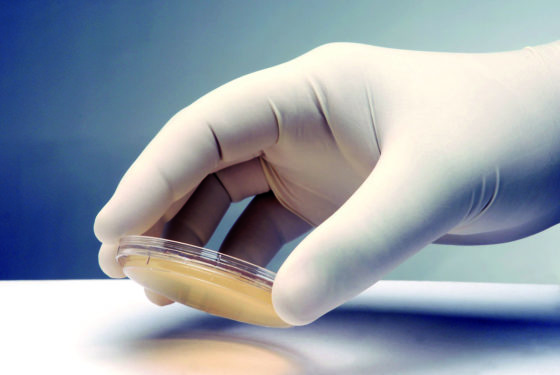 Placa Rodac (60X10mm) - Interlab