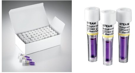 Geobacillus stearothermophilus Cell Line 7953 (Auto contido com esporos ...