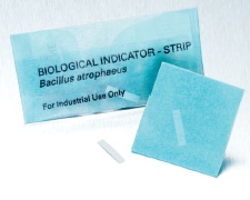Mini Spore Strips Bacillus atrophaeus Cell Line 9372 - Interlab