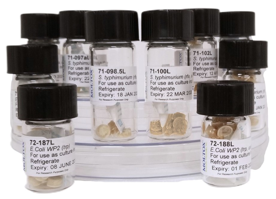 ESCHERICHIA COLI WP2 [trpE, uvrA, pKM101] - Interlab